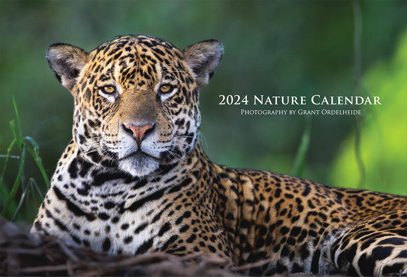 2024 Nature Calendar | Grant Ordelheide Photography