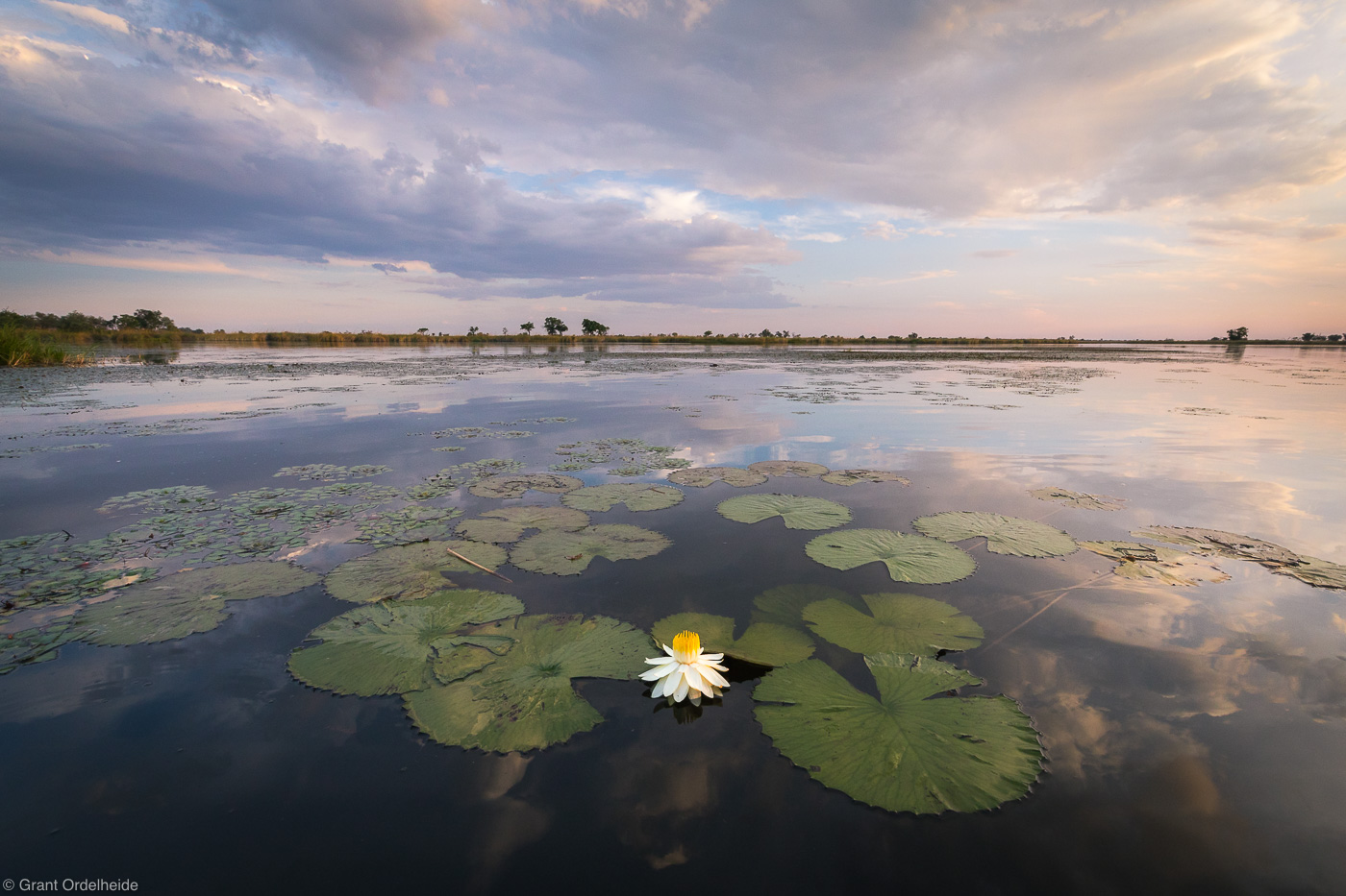 Okavango Sunset | Okavango Delta, Botswana | Grant Ordelheide Photography