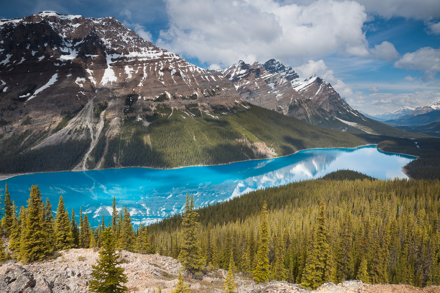 Peyto Lake | Banff National Park, Alberta Canada | Grant Ordelheide ...